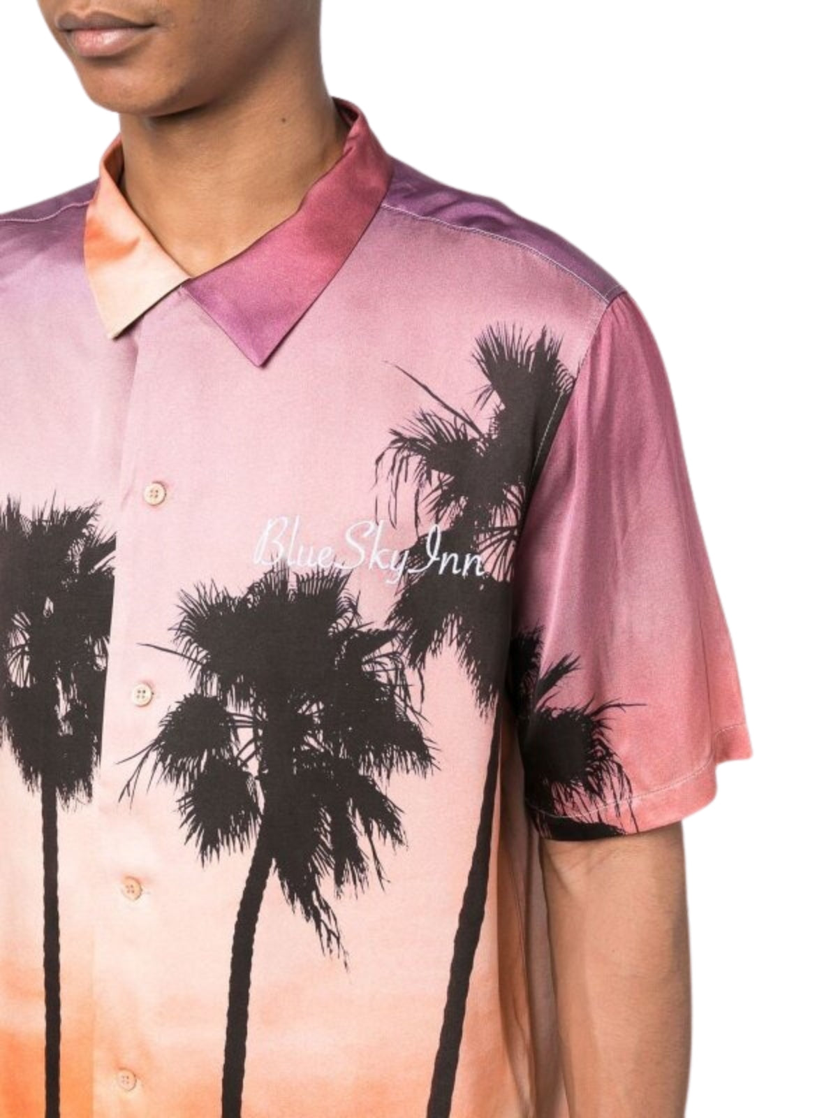 Discover Blue Sky Inn Apparel | Shop Blue Sky Inn – AL Capone Premium